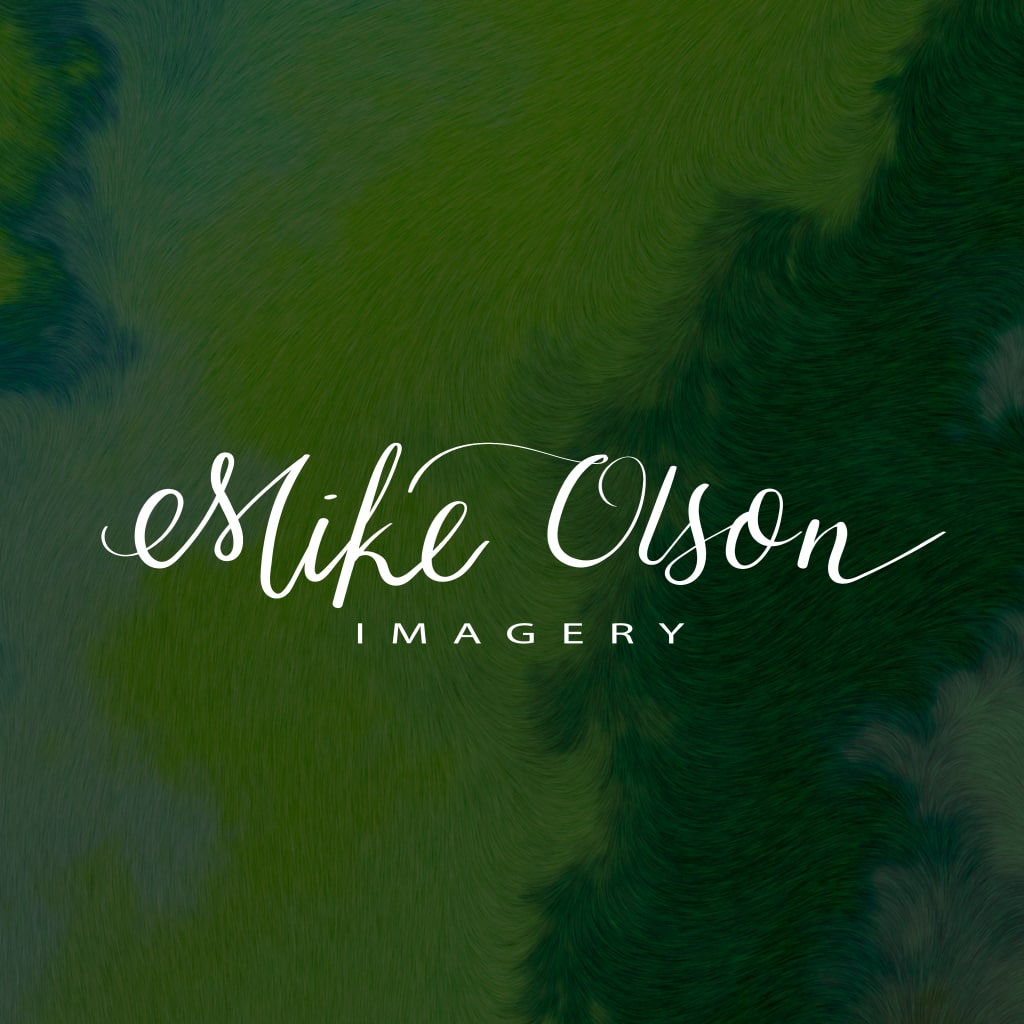 Photologo - Gallery & Examples